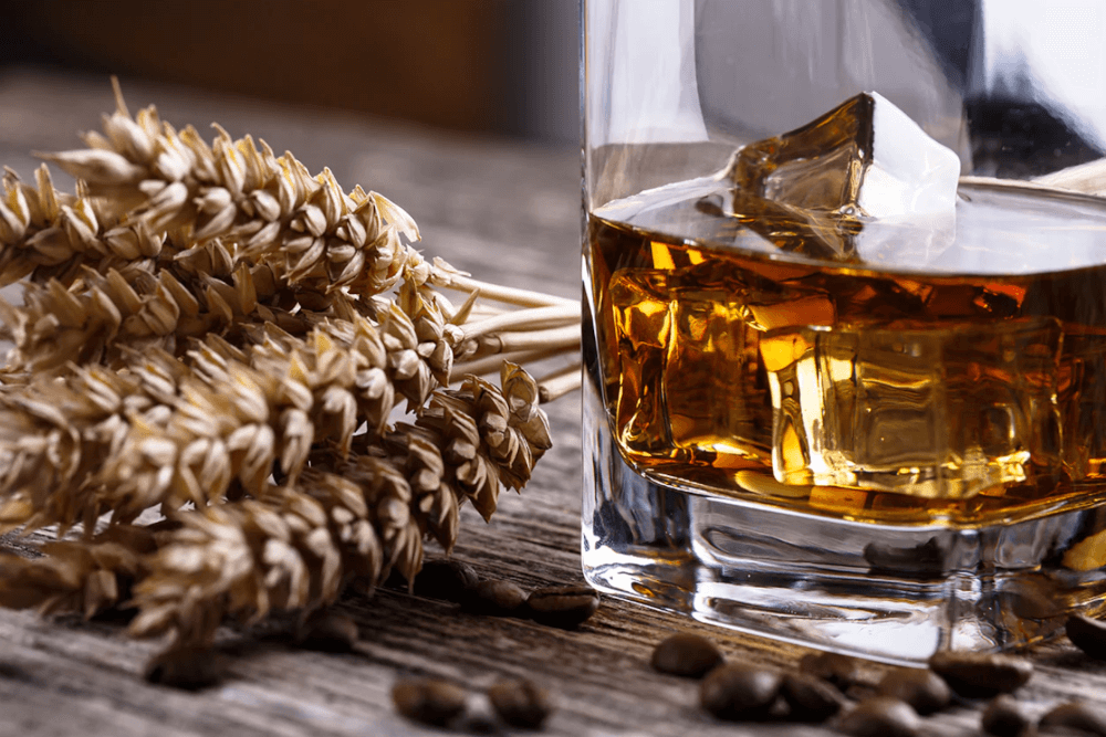 Whiskey Wanderlust: Discovering the World's Best Distilleries – WhiskeyD